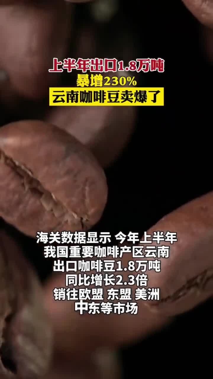 云南咖啡豆出口量暴增!!卖爆了!