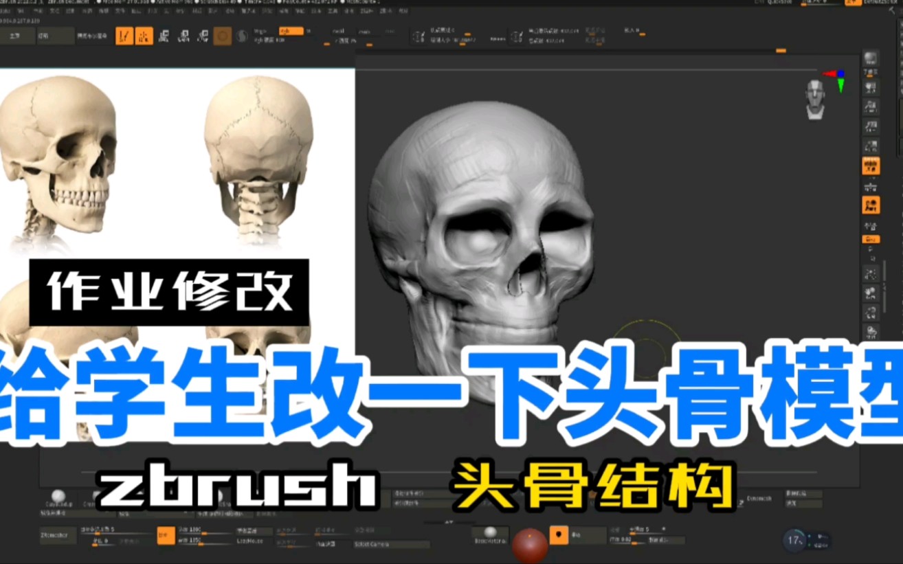 头骨模型修正