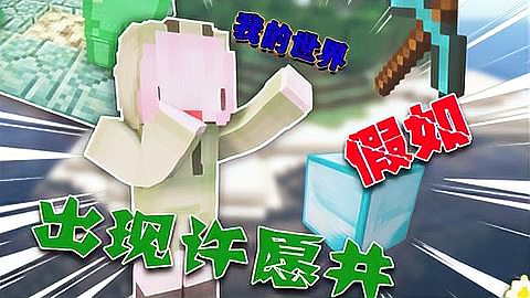 怕怕吖的游戏合集 : 假如mc出现许愿井