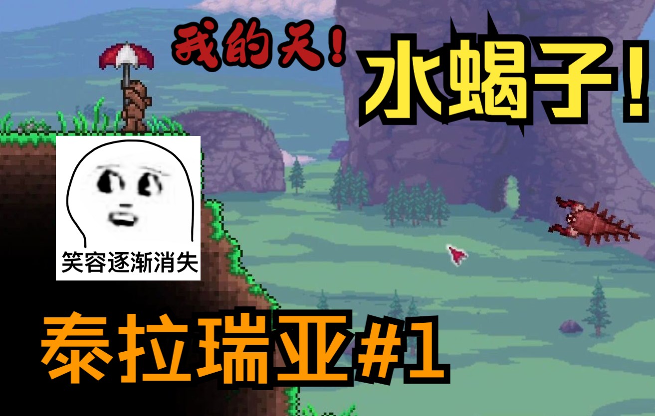 【泰拉瑞亚】我的沙雕之路,启程!