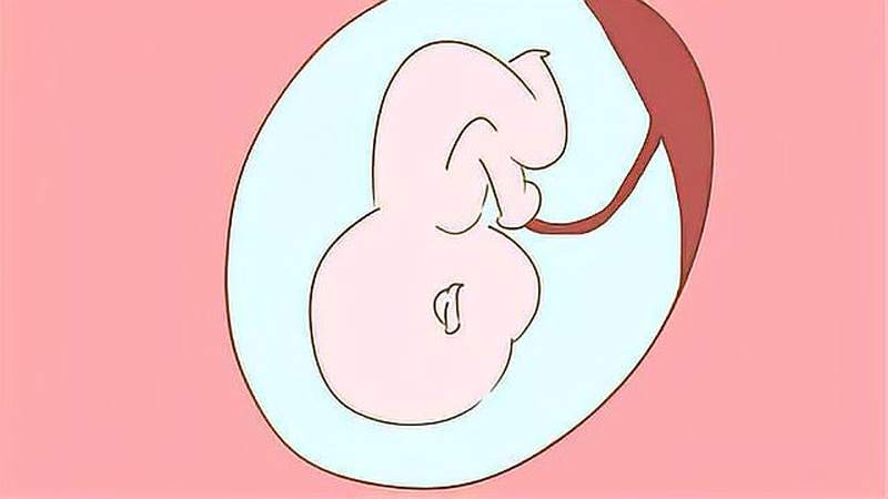 叶酸要怎么吃才能有效预防胎儿神经管畸形?