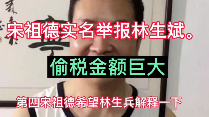 宋祖德发出6连问之后实名举报林生斌偷税漏税追责看林如何接招