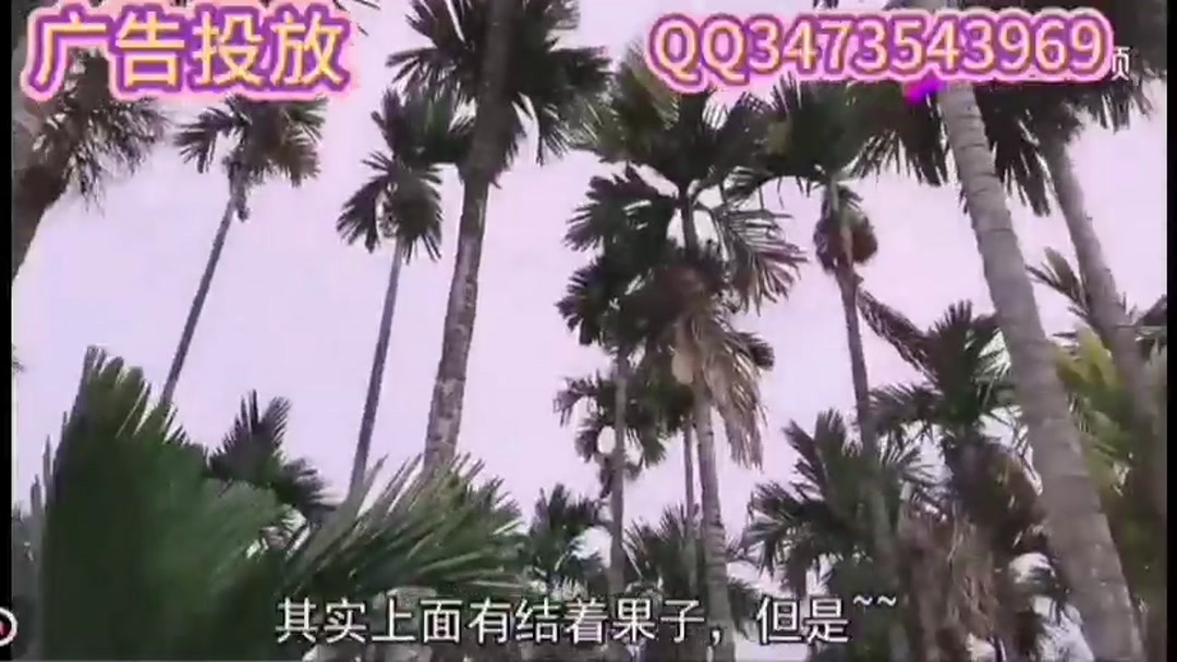 浙江开加油费发票