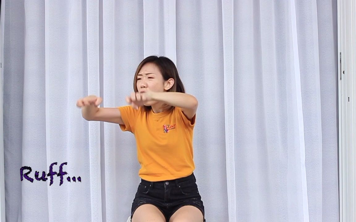 幼儿音乐律动 - 013 - Cat Dog Bee《幼儿音乐律动》