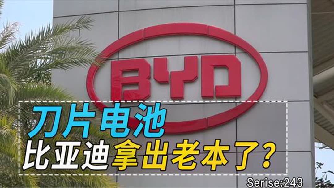 与整个行业背道而驰,比亚迪祭出最强刀片电池,到底胜算有几何?