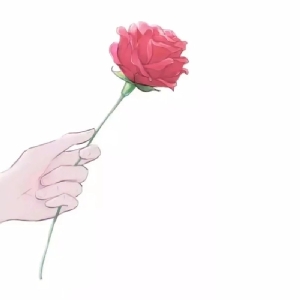小的叫白菜 