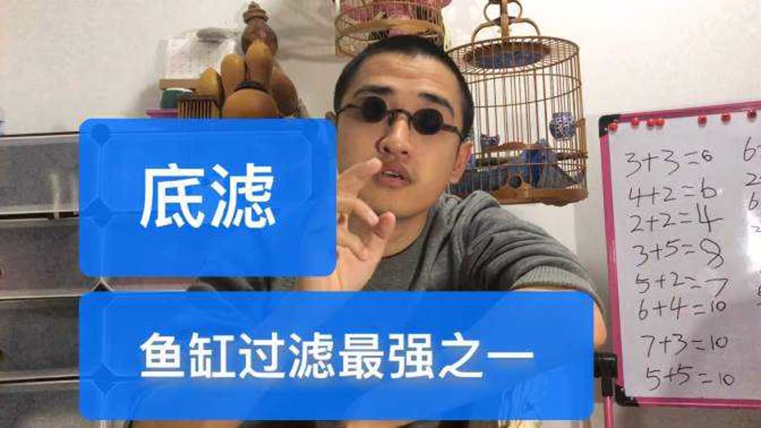 底滤是鱼缸地表最强的过滤之一,不接受任何反驳,有意见可以保留