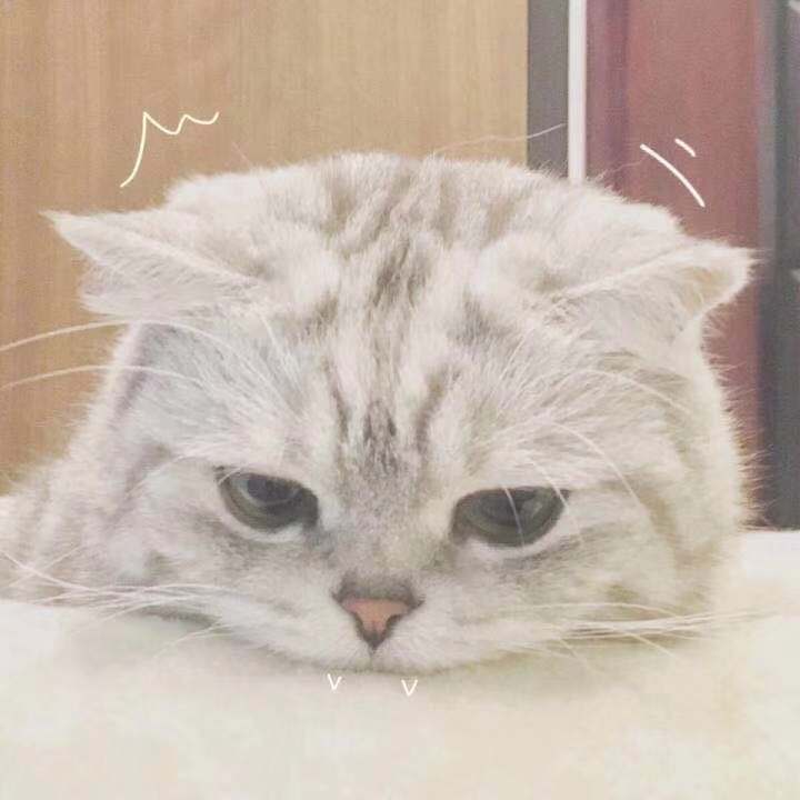 开心娱乐茶话会 