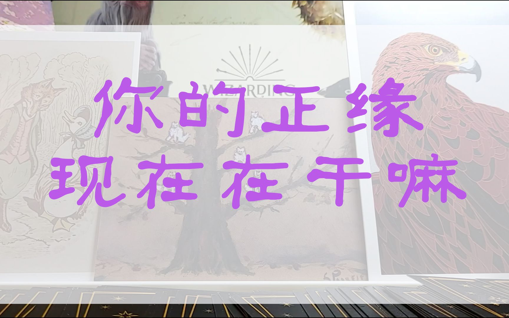 【Ash塔罗】你的正缘现在在干嘛【大众占卜,理性看待】