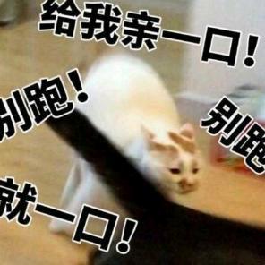 张老师 