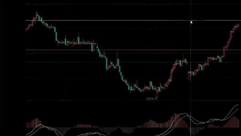 技术指导分析分享生活分析