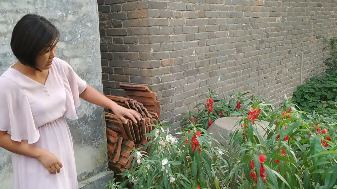 农村随处可见的凤仙花,这么多用途你知道几个?听完一年省不少钱