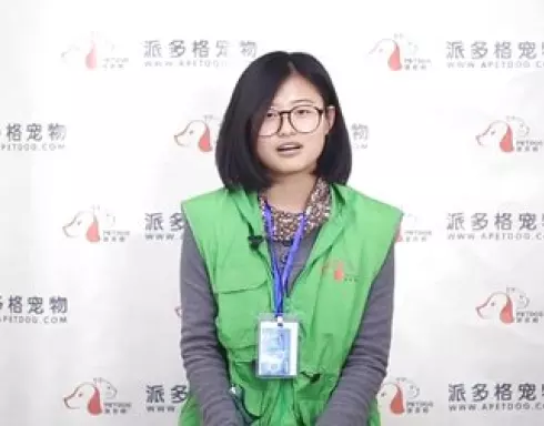 宠物美容师未来行业发展怎么样