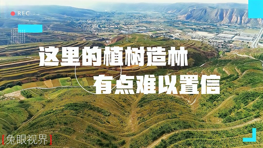 让人有点小震撼的植树造林,据老人说,过去这里简直就是荒山秃岭