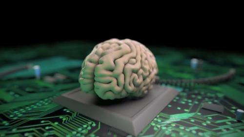 如果将人的大脑和电脑的内存容量作对比,相当于电脑的几何内存?