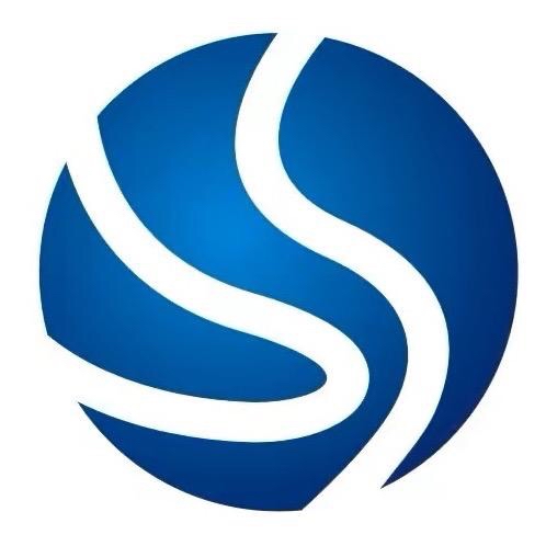思誉顾问-项目申报 