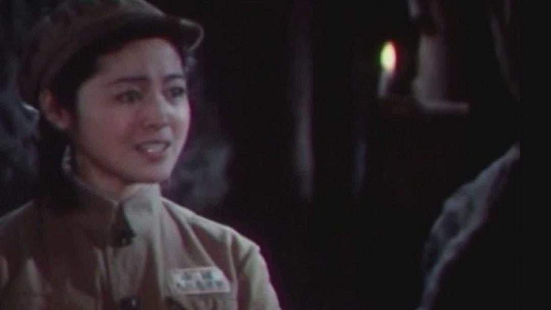 我的祖国(奋进新时代)