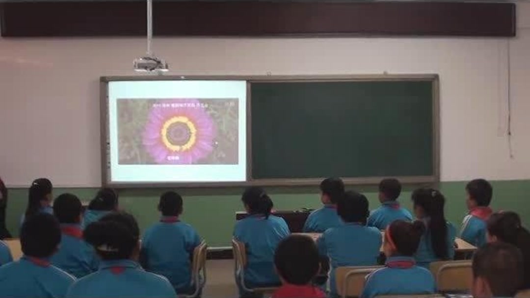 小学美术_冀美2011课标版_7.纸雕花卉13