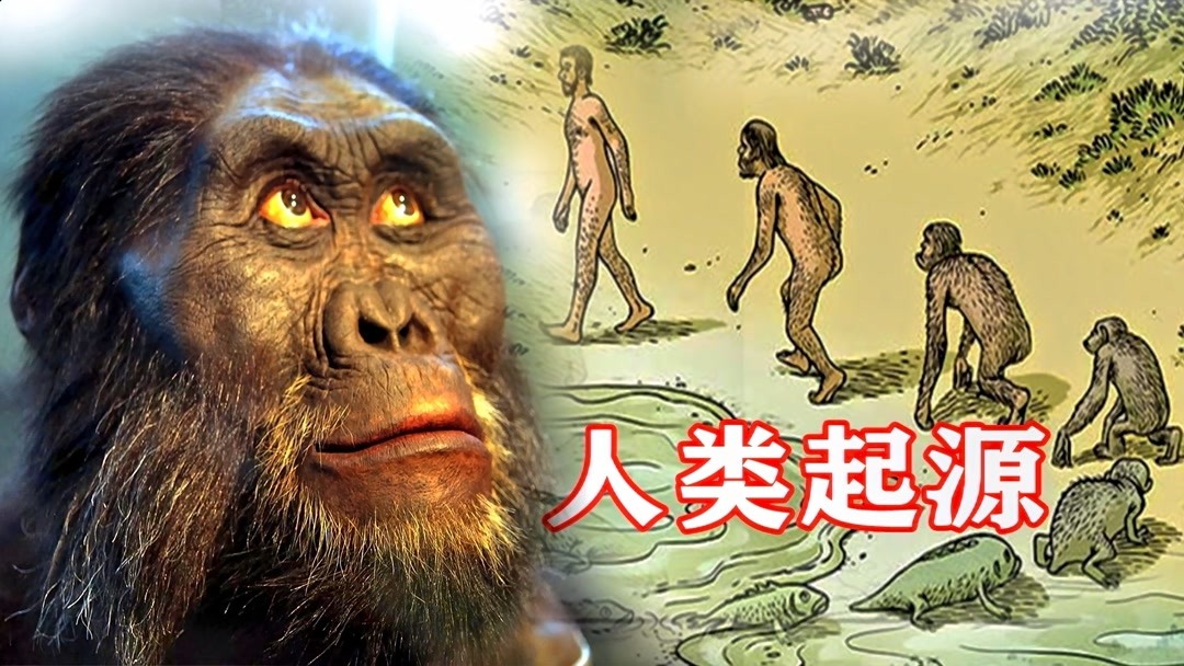 160万年前人类是如何生存的?人类发展的现在,都经历了什么?
