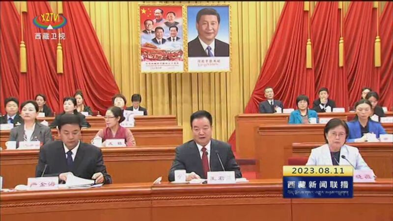 [西藏新闻联播]自治区妇女第十一次代表大会在拉萨开幕 深入贯彻落实...