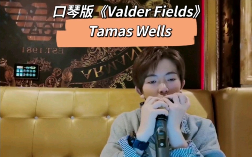 口琴吹奏一首温柔的英文歌«Valder Fields»Tamas Wells