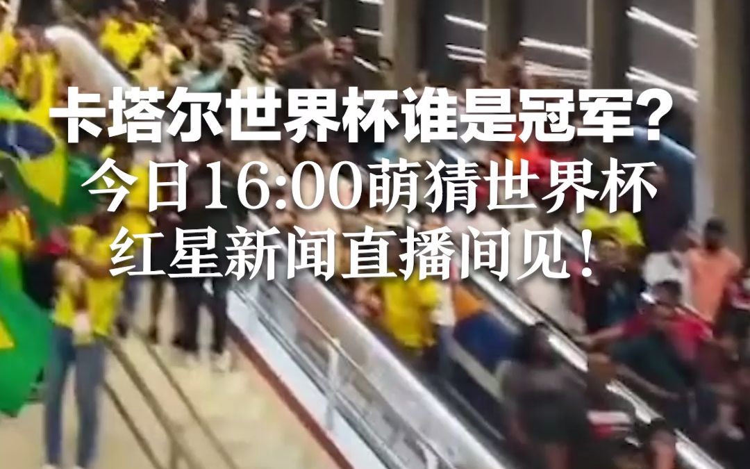 卡塔尔世界杯谁是冠军? 今日16:00萌猜世界杯,红星新闻直播间见!