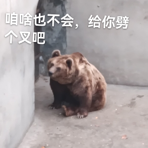 贝酱狗 