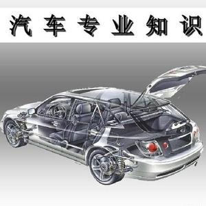 朝气蓬勃的小伟 