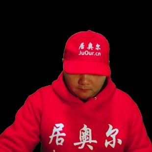 居奥尔实况 