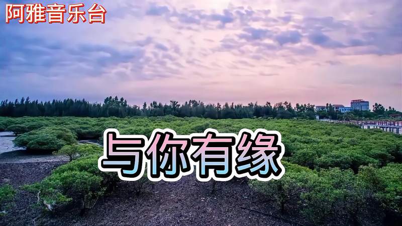 歌曲*与你有缘*肖凯枫