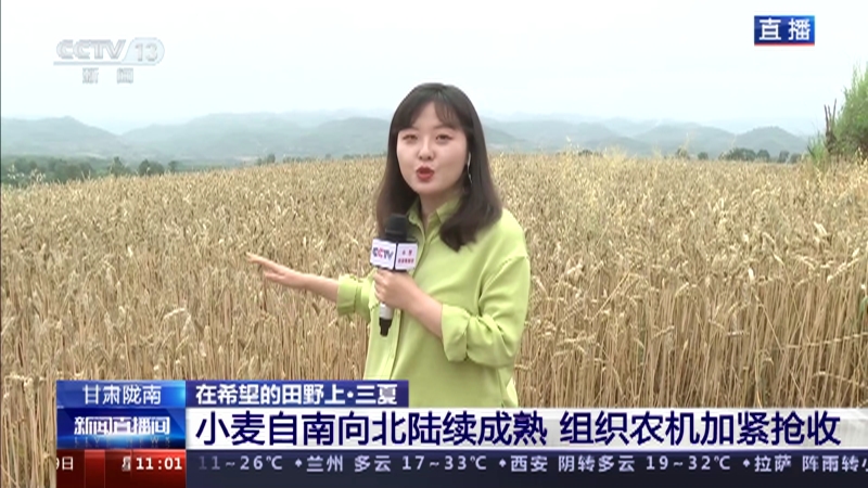 [新闻直播间]在希望的田野上·三夏 甘肃陇南 小麦自南向北陆续成熟 ...
