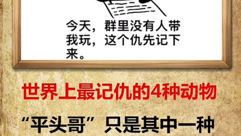 世界上最记仇的四种动物
