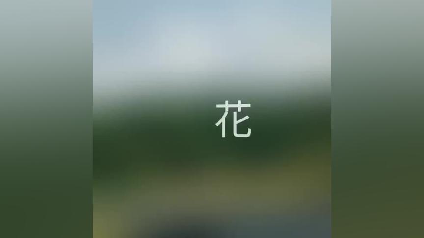 求购桂花苗木,自家种植,价格实惠#桂花 #园林绿化 #园林景观