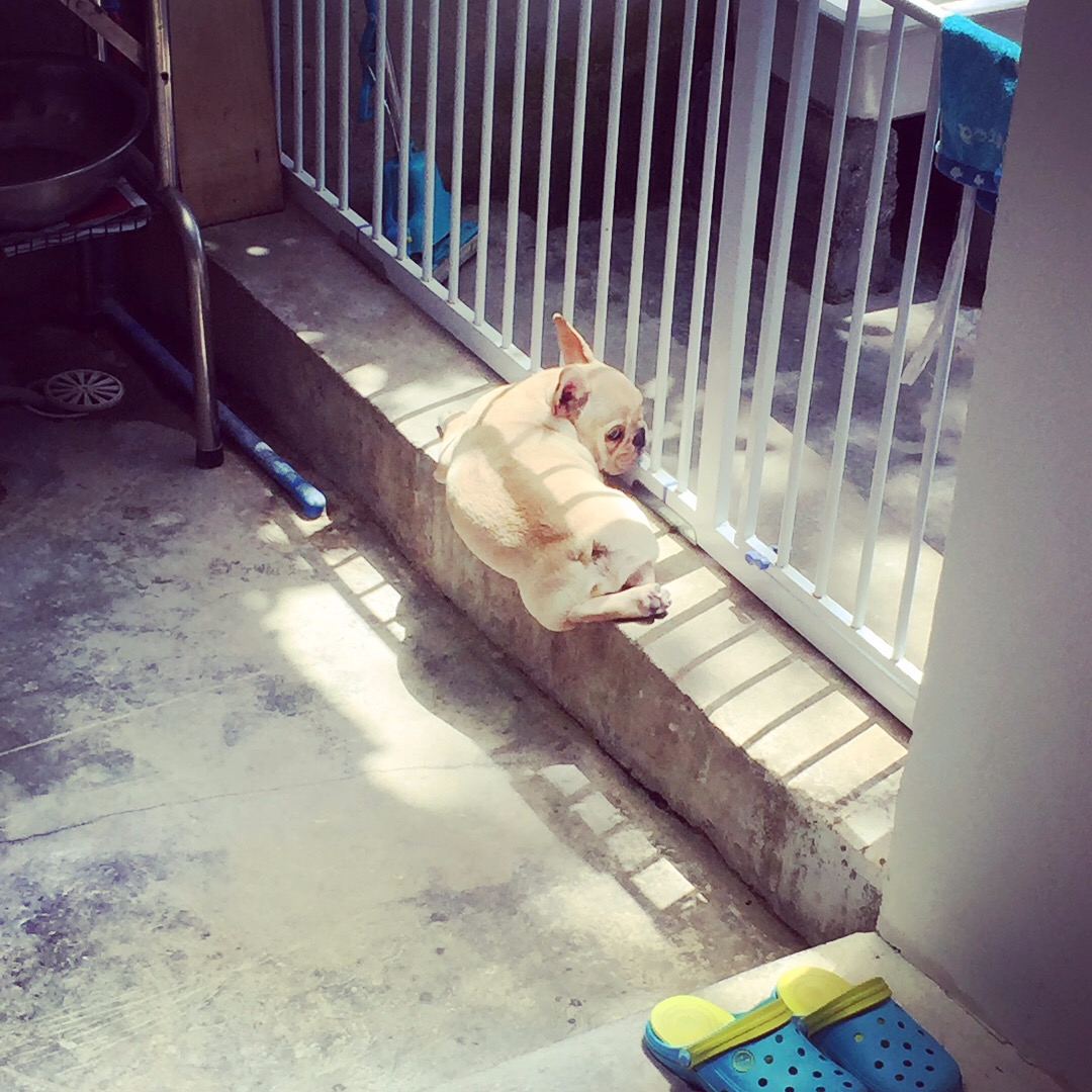 赵先生有点方 