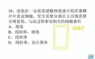 ...发生质壁分离后又出现质壁分离复原,与此过程密切相关的细胞器有