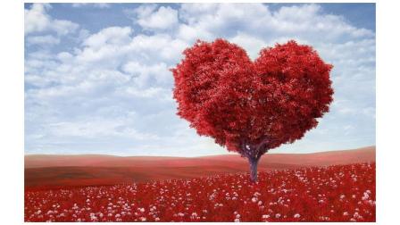 心理案例分析18执着于第一和最好,无法快乐的我