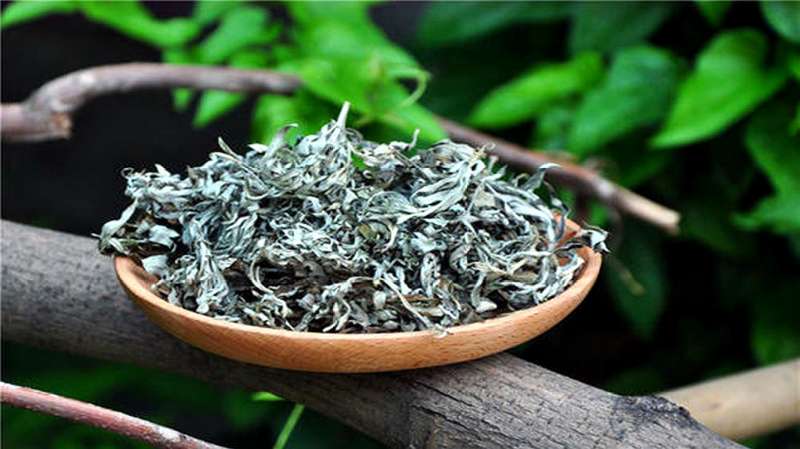 干艾草用手搓一搓,放家里效果太好了,解决了多数家庭的大烦恼