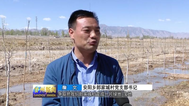 我区沿山乡镇植树造林工作热火朝天