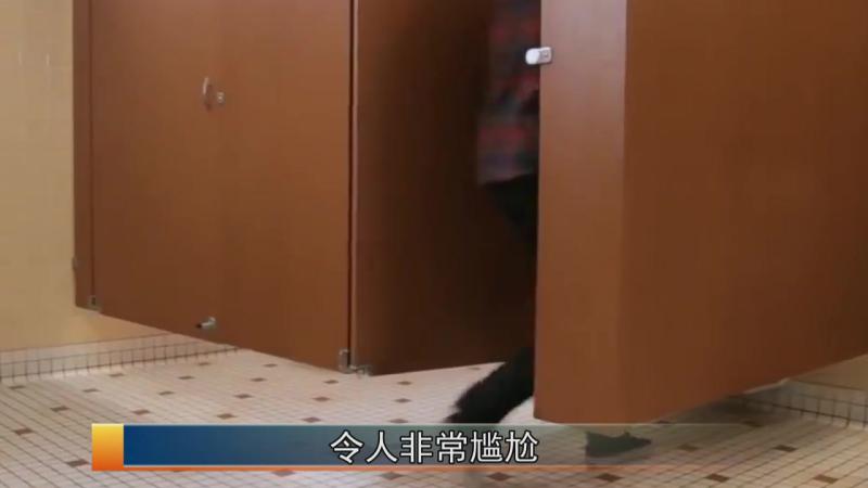 为什么公共厕所的门下,要留那么大的空隙?看完为设计师点赞