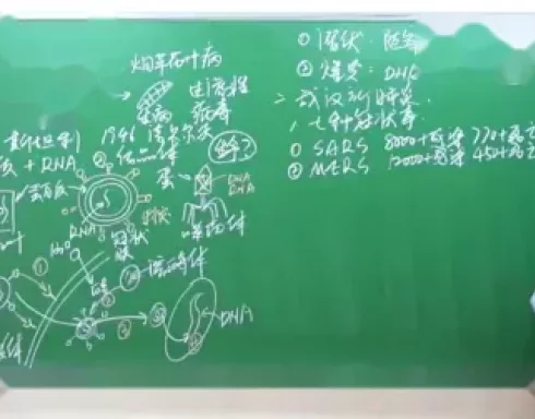 专家解析:什么是新型冠状病毒