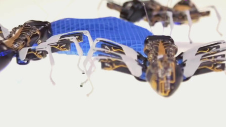 德国公司发布仿生蚂蚁机器人,利用光学传感器红外线符号进行导航