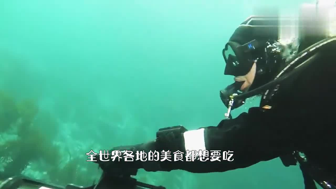 中国的影响力到底多大?当中国人停下筷子时,全世界都懵了!