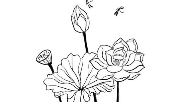 荷花与蜻蜓简笔画