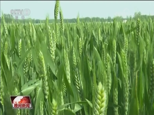 [视频]农业农村部:一季度第一产业增加值达8769亿元