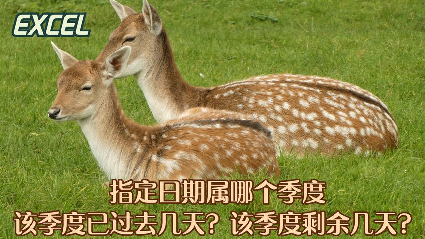 Excel指定日期属哪个季度,该季度已过去几天?该季度剩余几天?