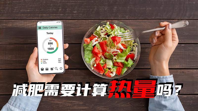 减肥需要计算卡路里吗?学会这一点,让你从此远离热量焦虑