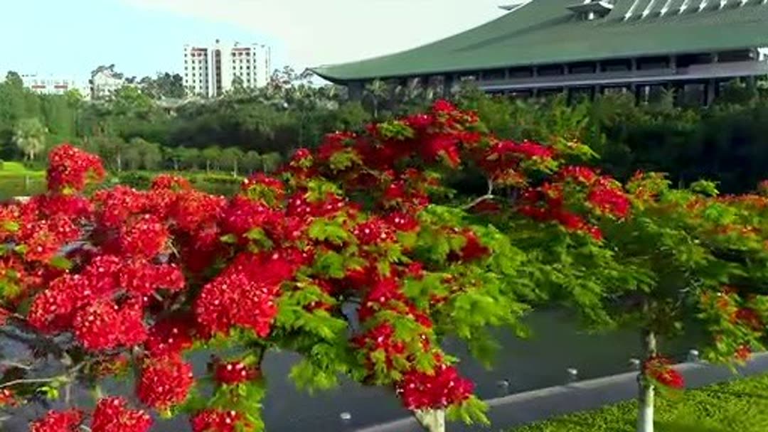 厦门大学2018招生宣传片