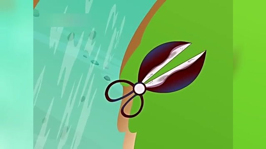 幼儿启蒙认知教育基础篇之剪刀