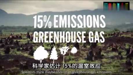 你知道失去树木对人类的影响有多大吗?专家告诉你!