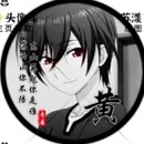 阳之烈焰 